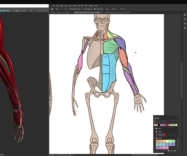 ArtStation - Artistic Anatomy Essentials | Tutorials