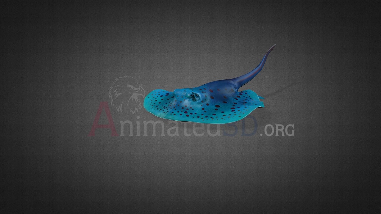ArtStation - Ray Fish-Attack | Game Assets