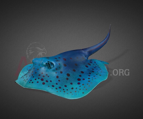ArtStation - Ray Fish-Idle | Game Assets