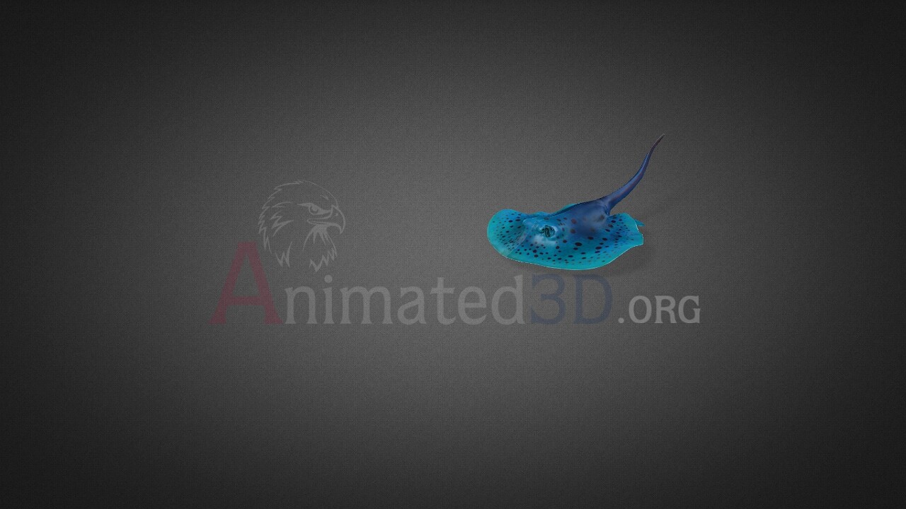 ArtStation - Ray Fish-Swim2 | Game Assets