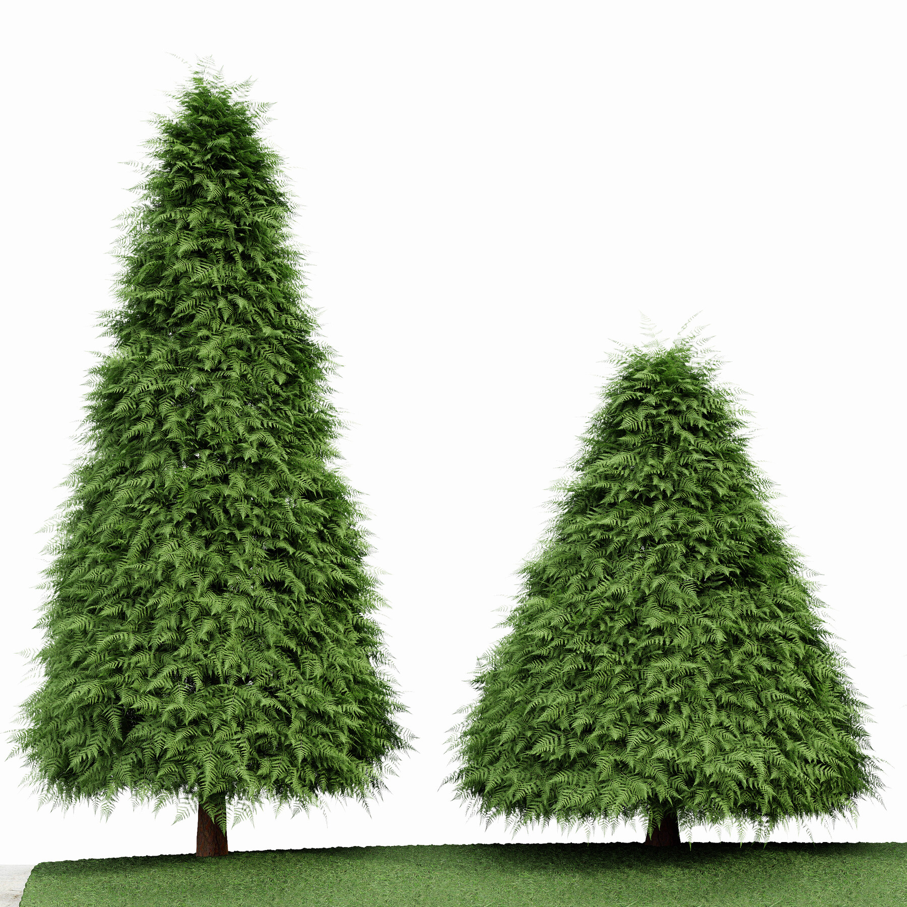 ArtStation - Cone shaped green coniferous - Buxus trees | Resources