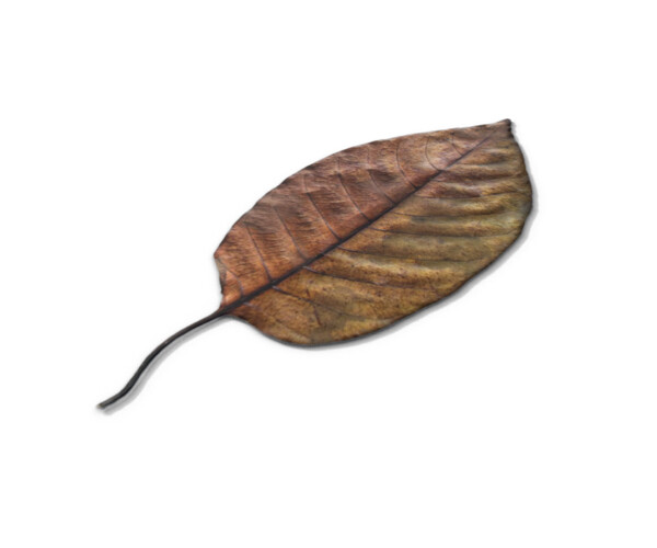 ArtStation - Leaf Materials With Alpha Vol.2 | Resources