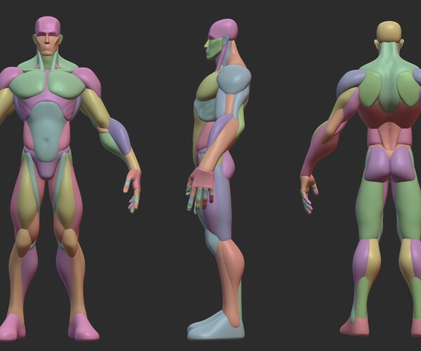 ArtStation - Standard Male Stylized Blockout V1 | Resources