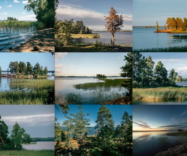 ArtStation - North Island Reference Pictures | Resources