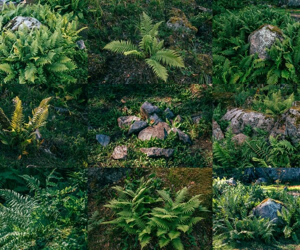 ArtStation - North Island Reference Pictures | Resources