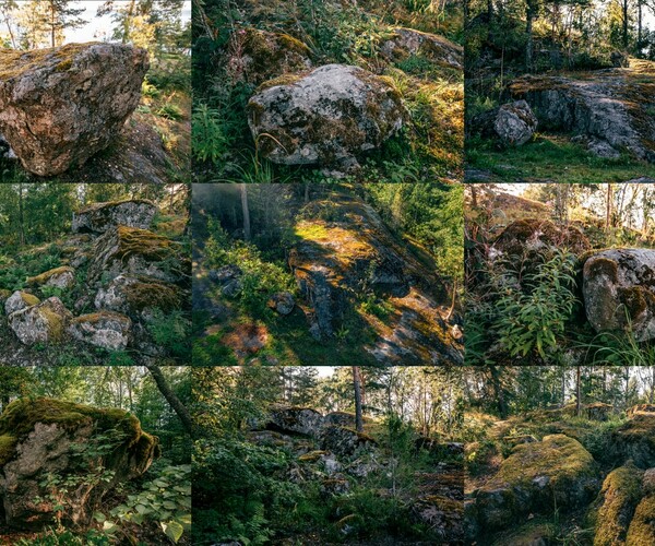 ArtStation - North Island Reference Pictures | Resources