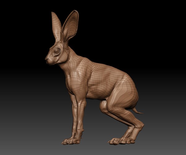 ArtStation - Rabbit/Hare BaseMesh and 3d printable model | Resources