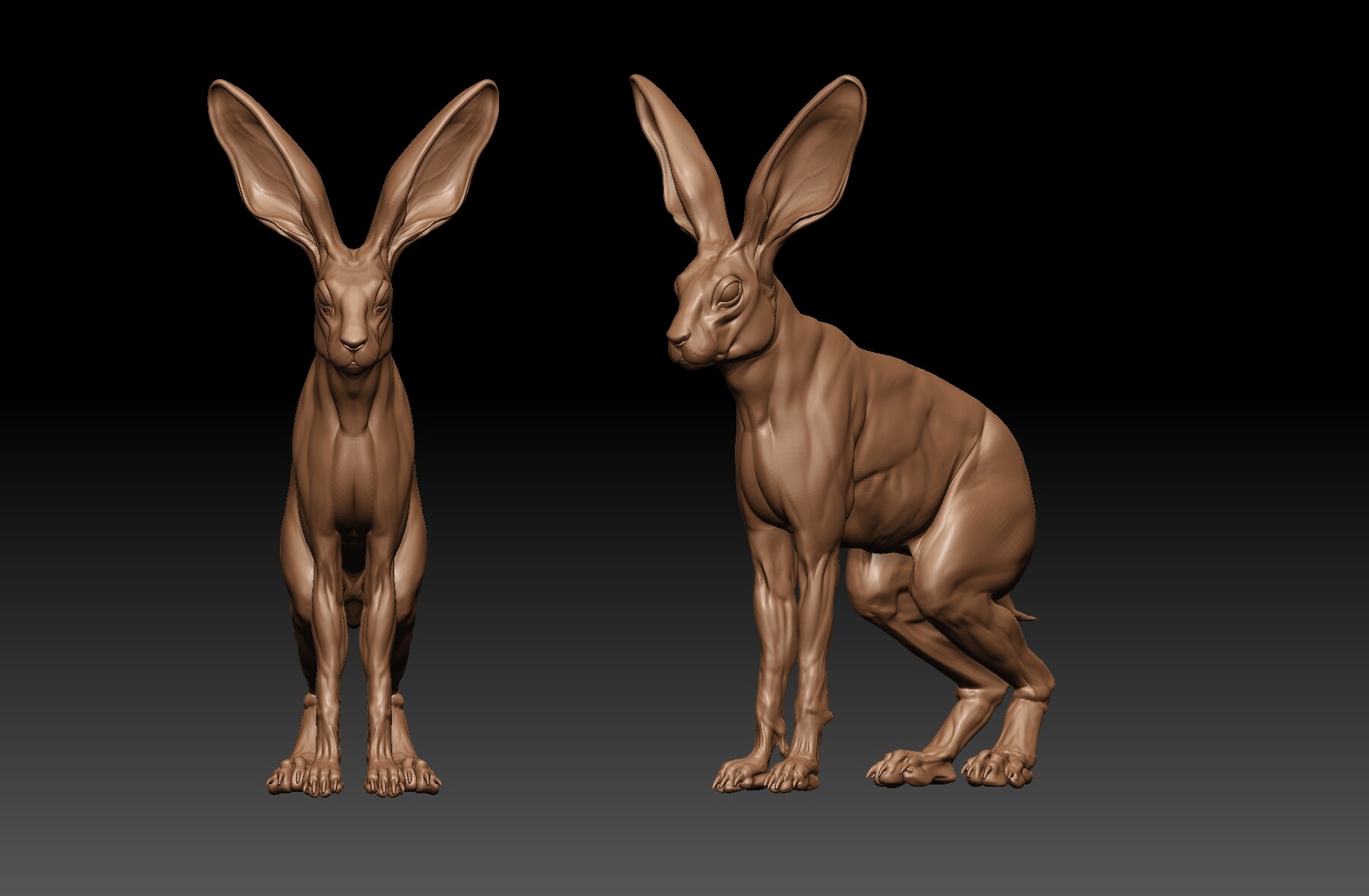 ArtStation - Rabbit/Hare BaseMesh and 3d printable model | Resources