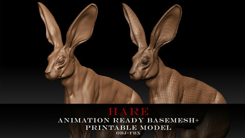 ArtStation - Rabbit/Hare BaseMesh and 3d printable model | Resources
