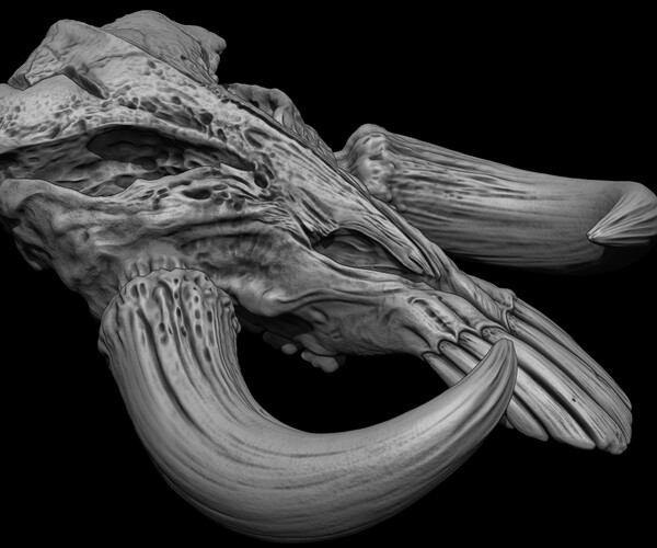 ArtStation - 3D PRINTABLE MYTHOSAUR SKULL AND HORNS PACK - THE ...