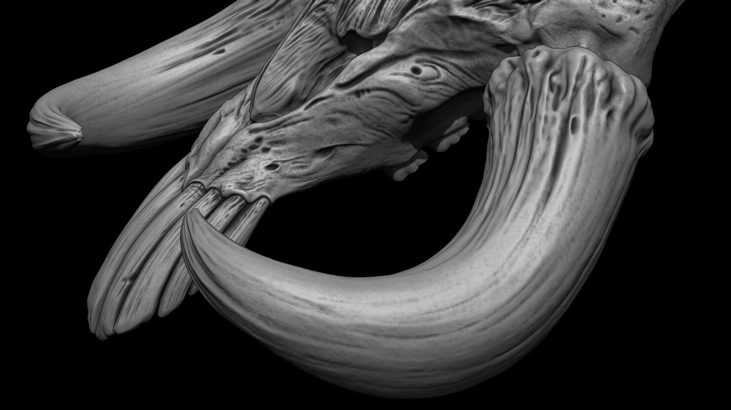 ArtStation - 3D PRINTABLE MYTHOSAUR SKULL AND HORNS PACK - THE ...