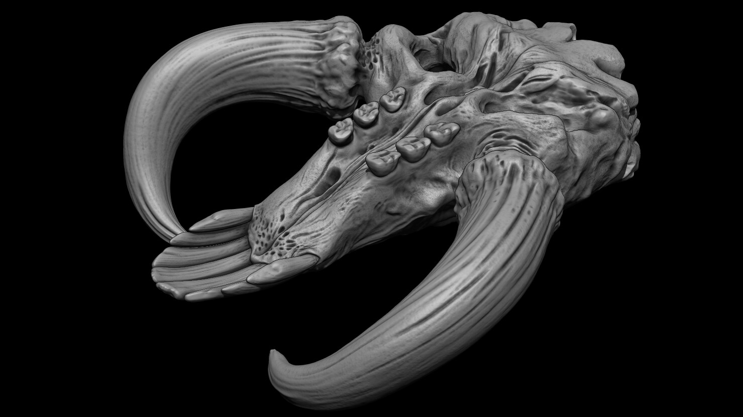 ArtStation - 3D PRINTABLE MYTHOSAUR SKULL AND HORNS PACK - THE ...