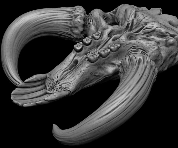 ArtStation - 3D PRINTABLE MYTHOSAUR SKULL AND HORNS PACK - THE ...
