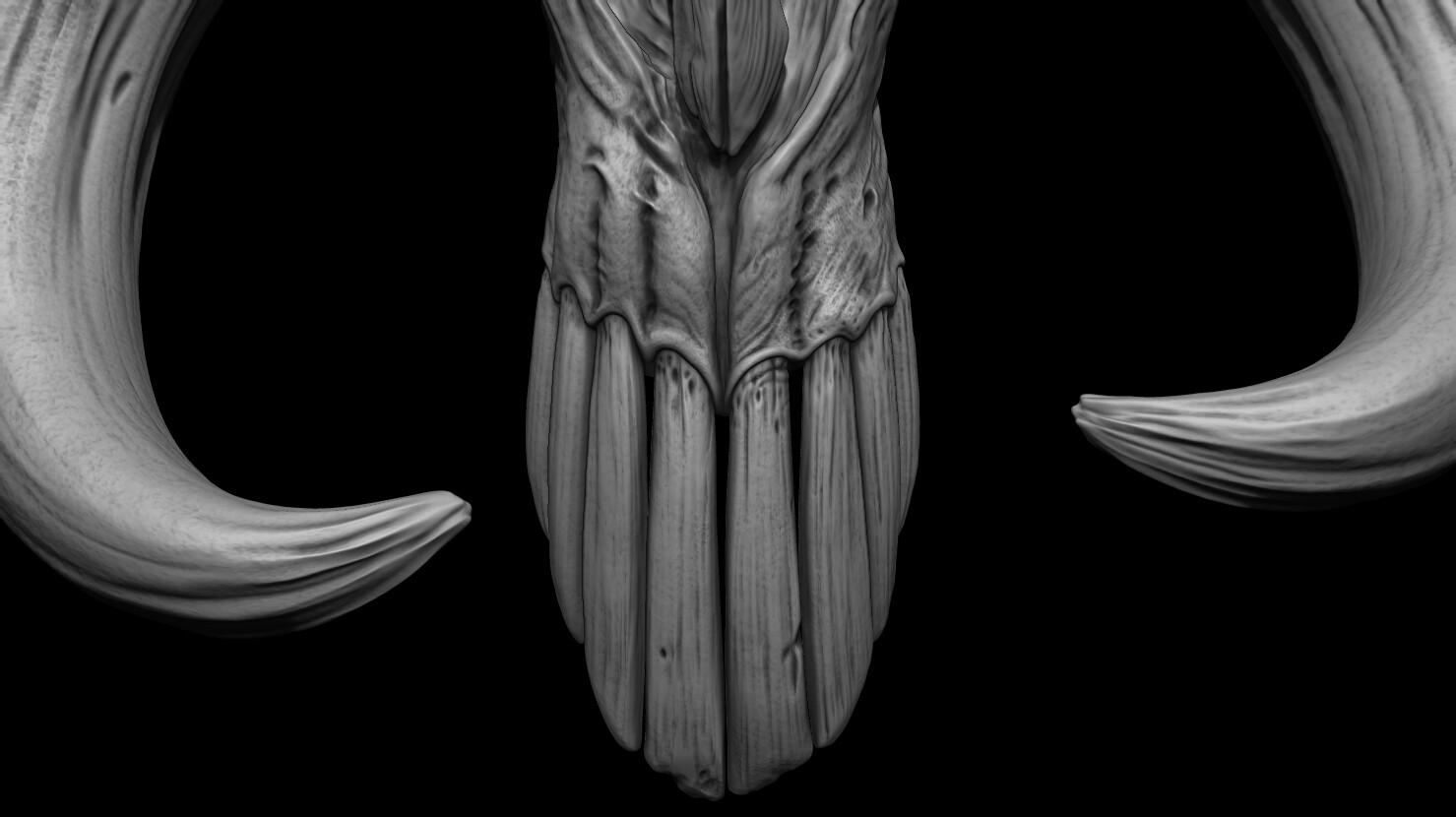 ArtStation - 3D PRINTABLE MYTHOSAUR SKULL AND HORNS PACK - THE ...