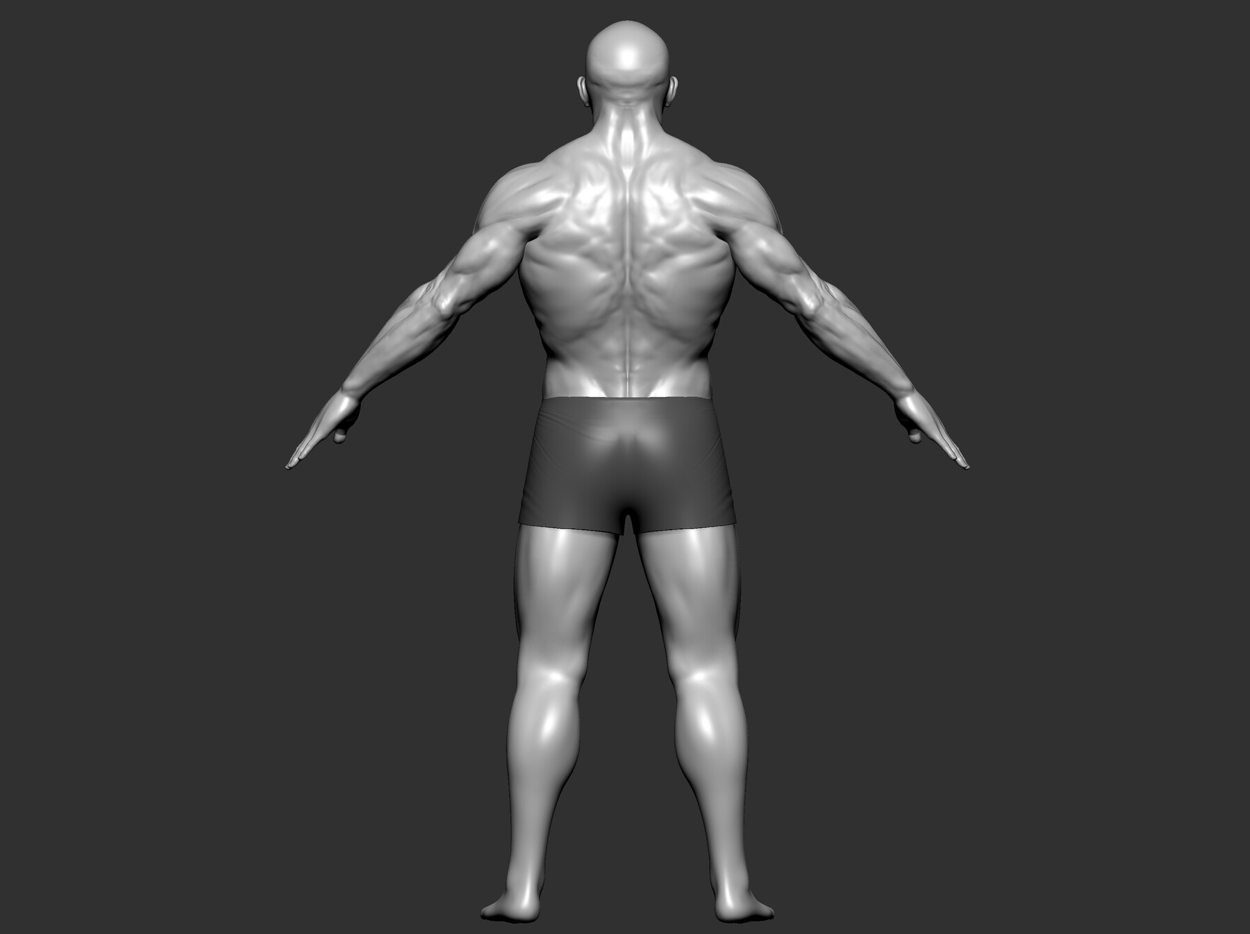 ArtStation - MUSCULAR MAN MASS WITH HIGH AND LOW DIVISIONS... AND ...