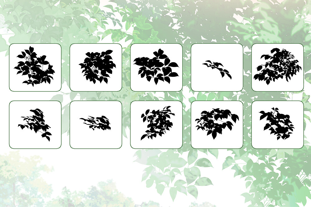 ArtStation - 2 Tree Leaves Brushes for ClipStudioPaint/10 PNG images ...