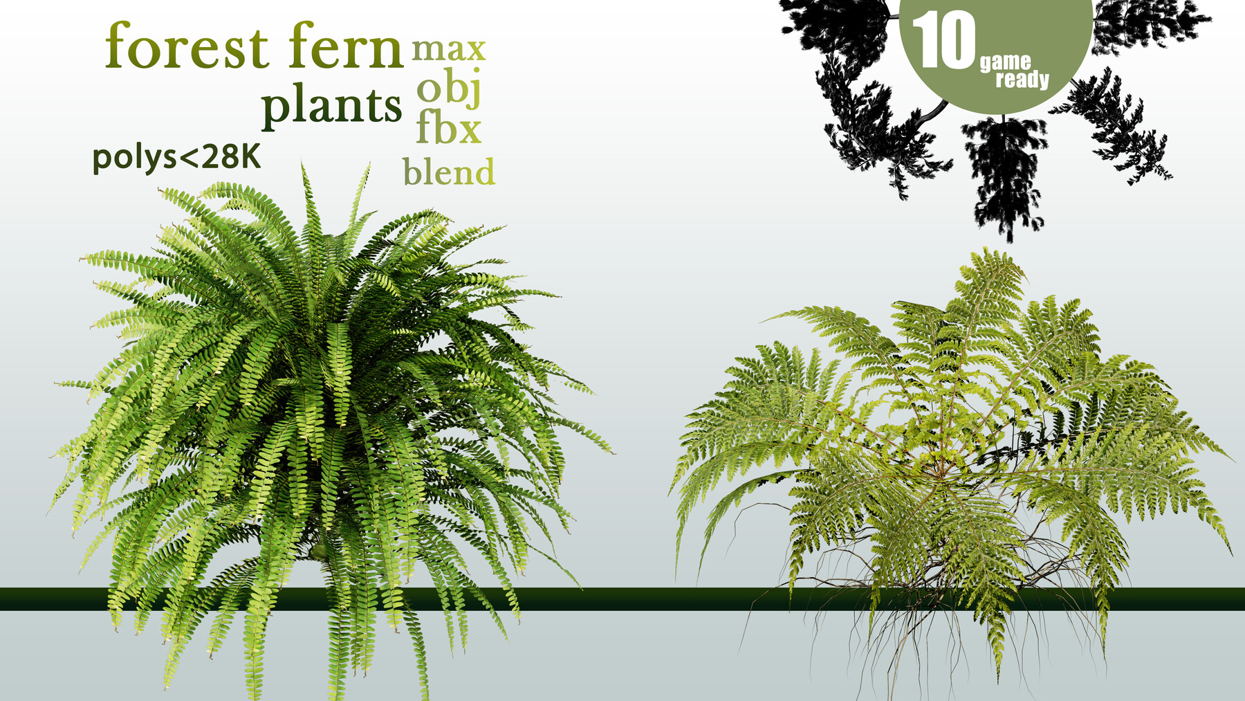 ArtStation - 10 forest fern plants VOL 07 | Game Assets