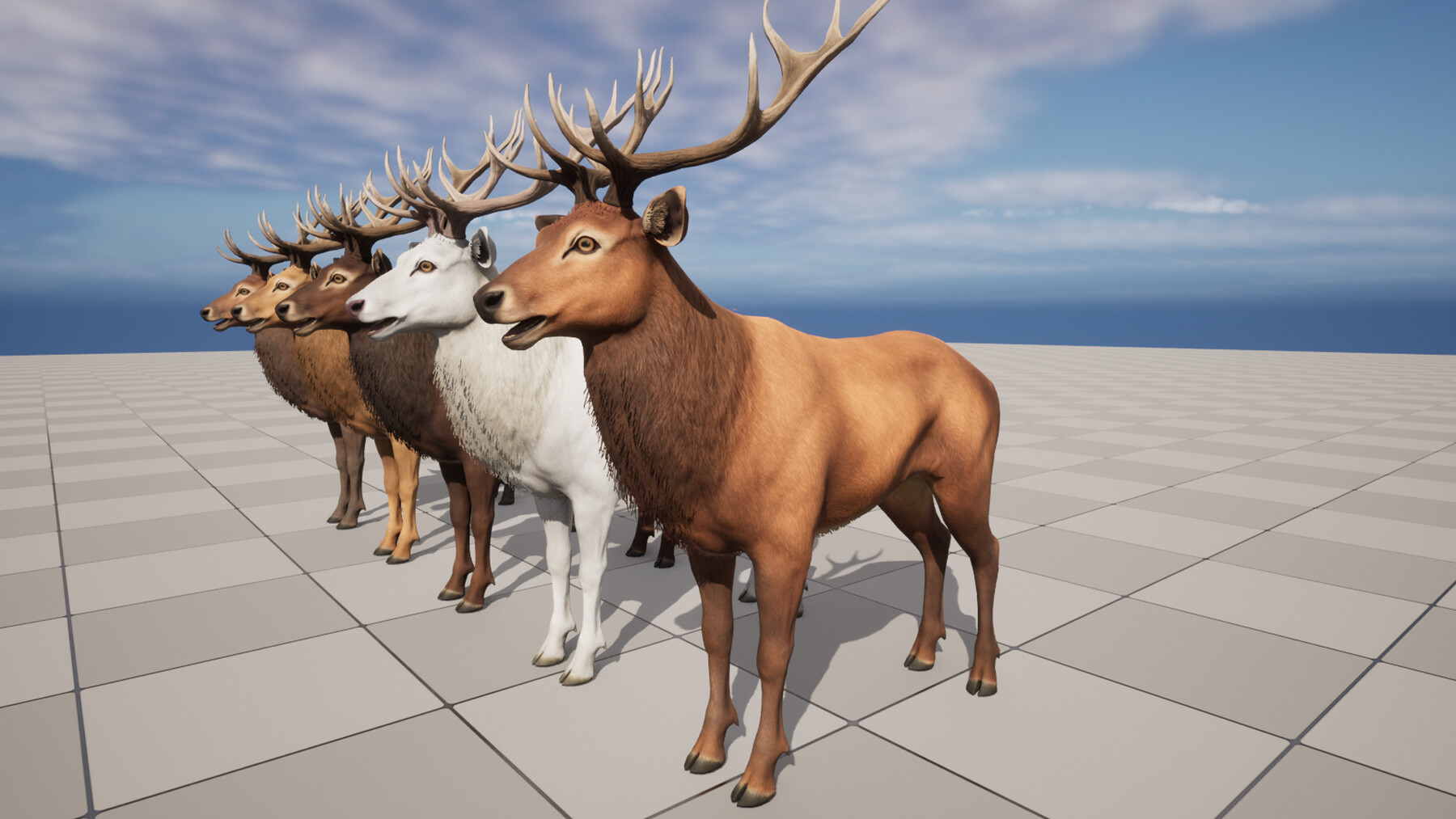 ArtStation - Red Deer stag | Game Assets