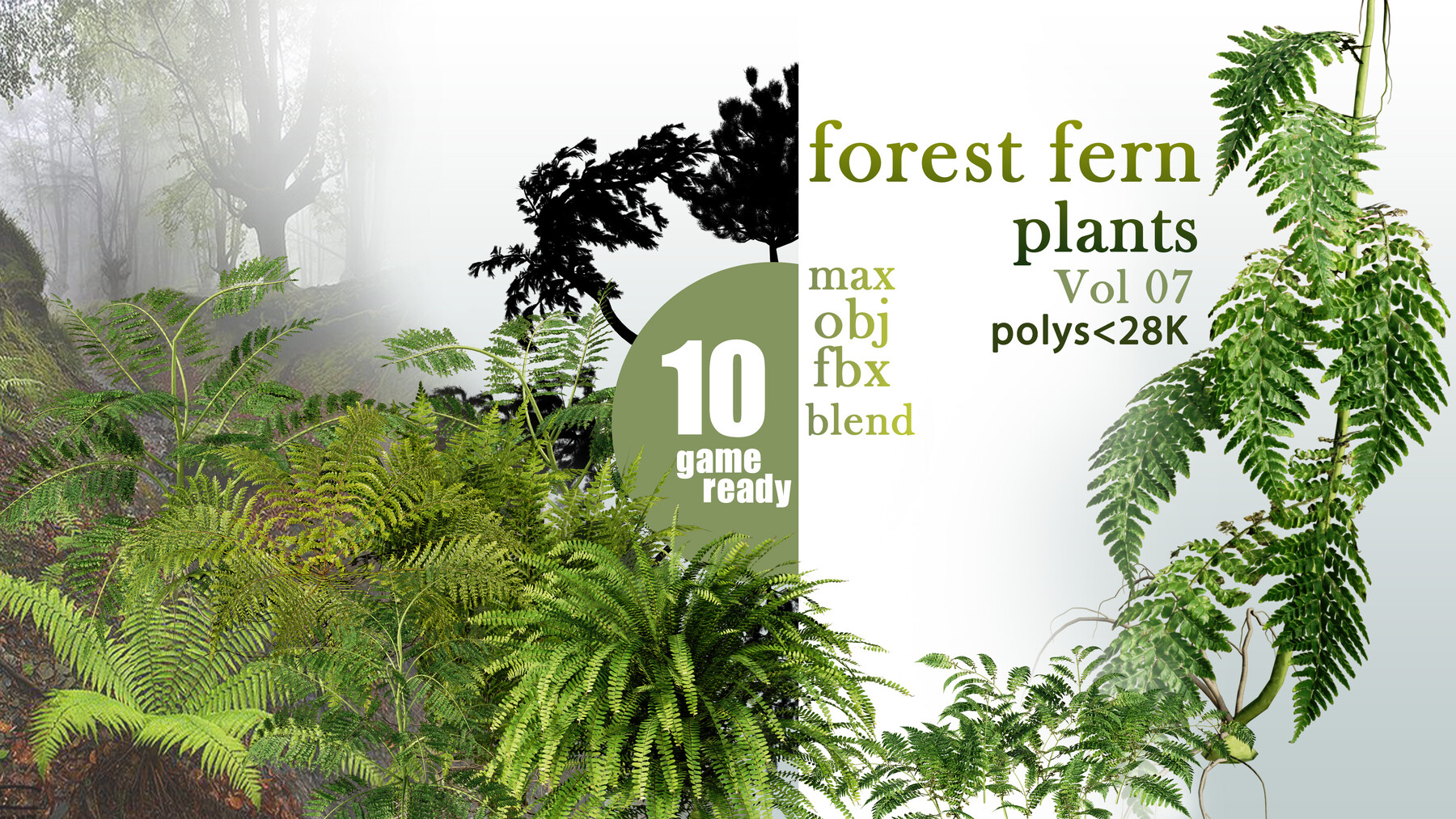 ArtStation - 10 forest fern plants VOL 07 | Game Assets