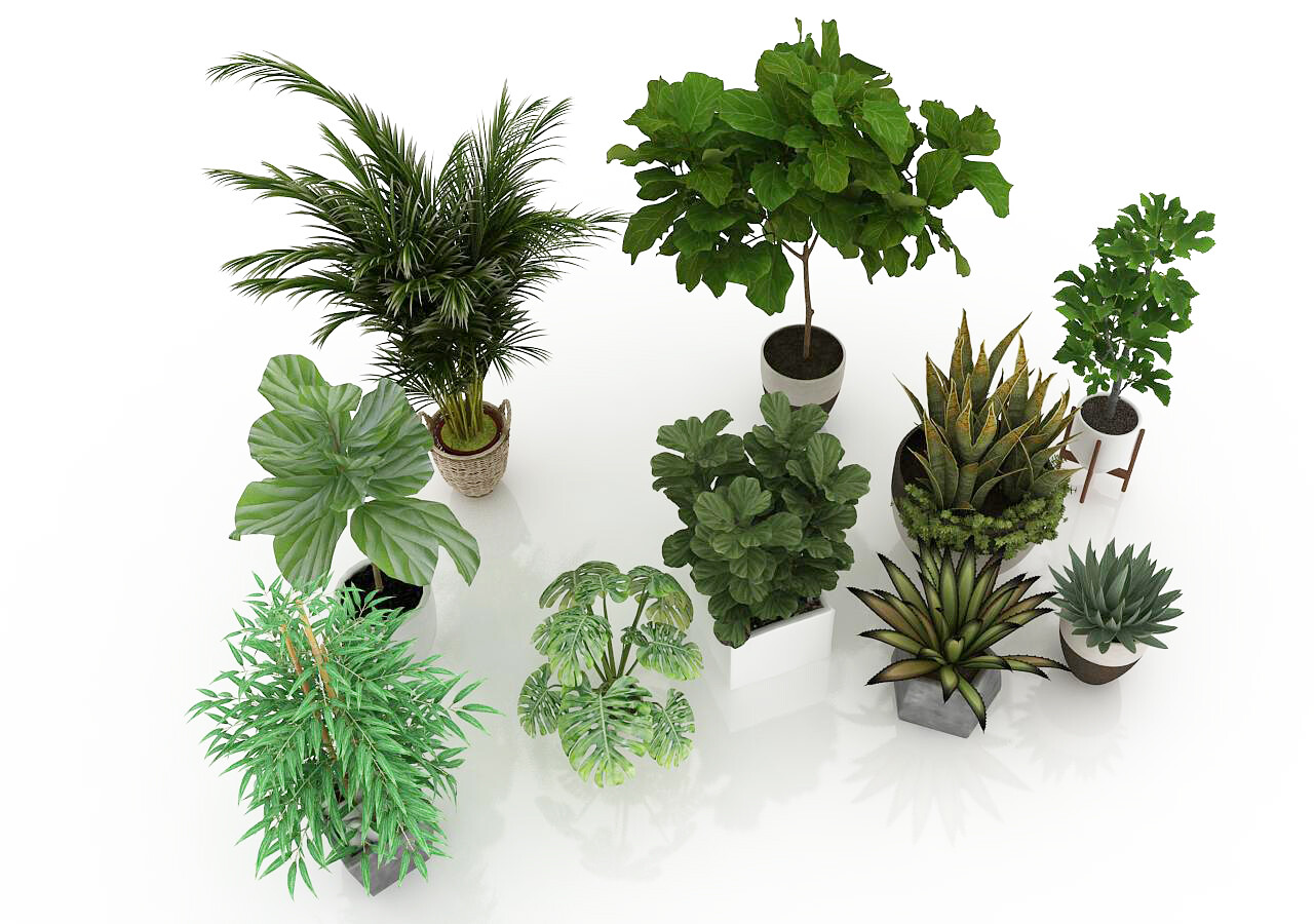 ArtStation - Plant Collection VOL. 2 - Base Mesh | Resources