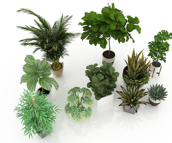 ArtStation - Plant Collection VOL. 2 - Base Mesh | Resources