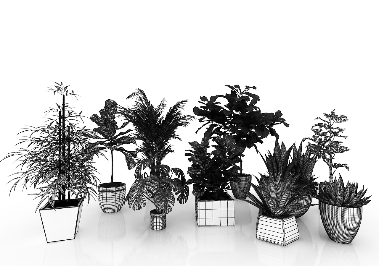 ArtStation - Plant Collection VOL. 2 - Base Mesh | Resources