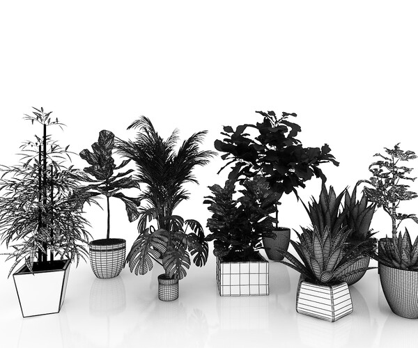 ArtStation - Plant Collection VOL. 2 - Base Mesh | Resources