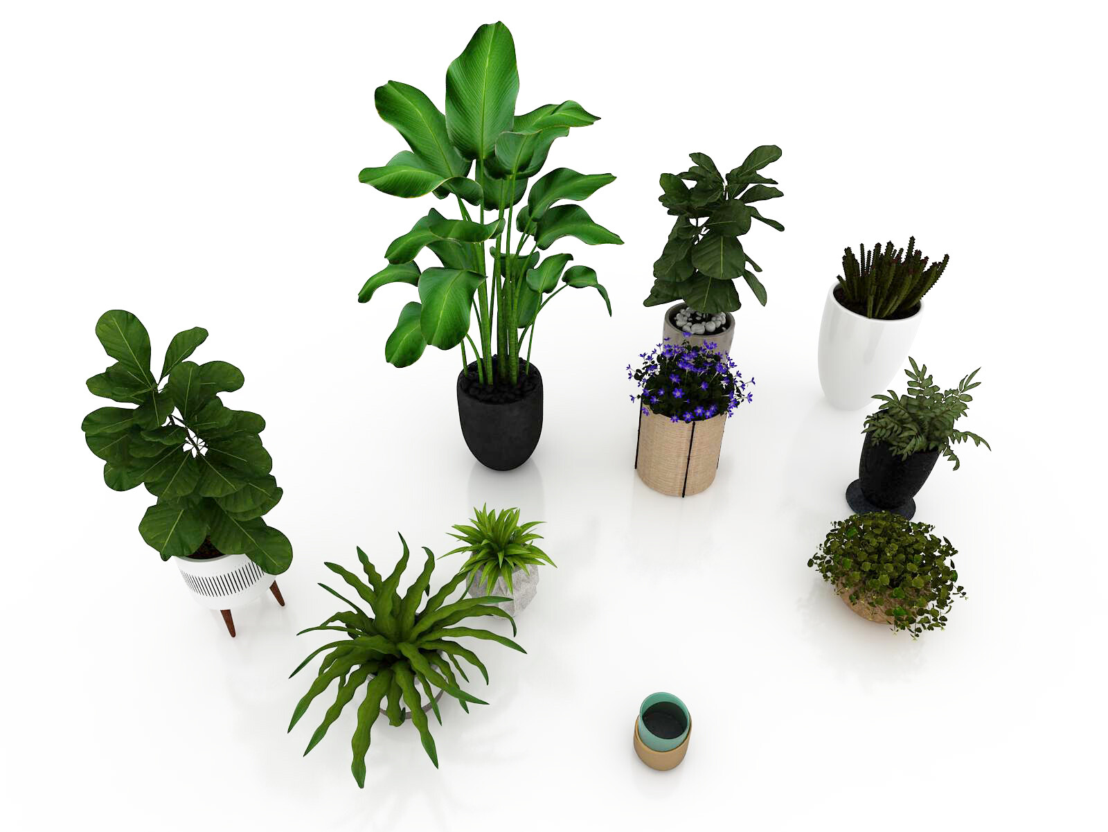 ArtStation - Plant Collection VOL. 2 - Base Mesh | Resources