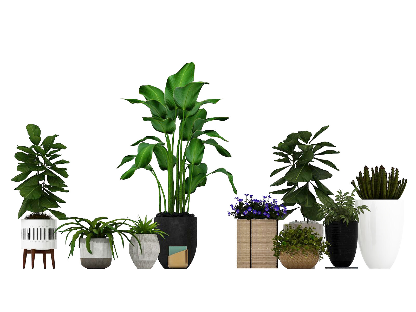 ArtStation - Plant Collection VOL. 2 - Base Mesh | Resources