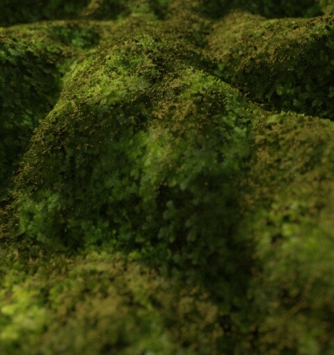 ArtStation - Redshift Shader C4D Moss v4 | Resources