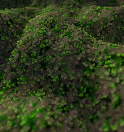ArtStation - Redshift Shader C4D Moss v4 | Resources