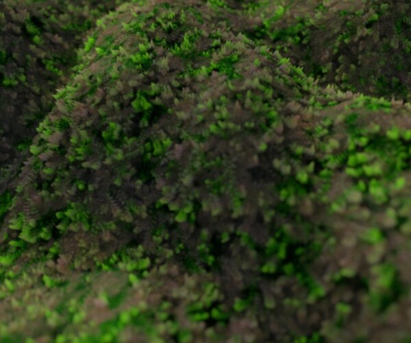 ArtStation - Redshift Shader C4D Moss v4 | Resources