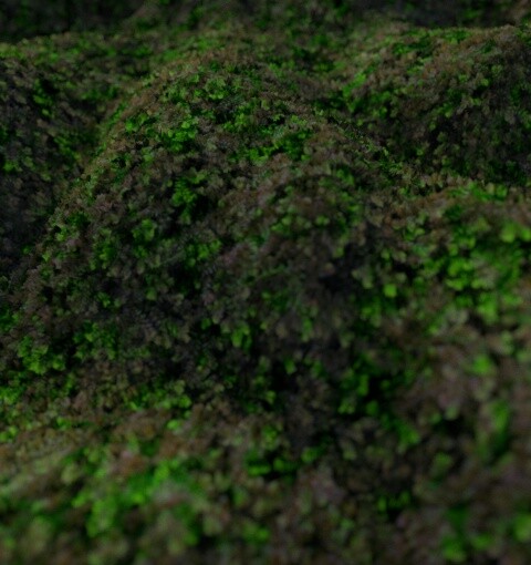 Artstation Redshift Shader C4d Moss V4 Resources