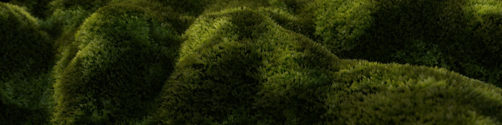 ArtStation - Redshift Shader C4D Moss v4 | Resources