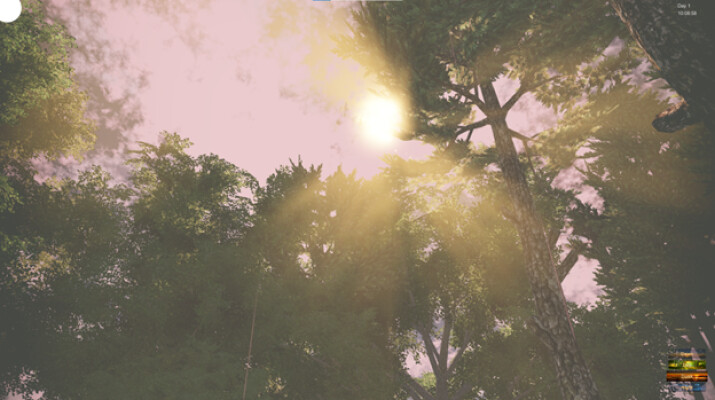 ArtStation - light_in_the_forrest | Game Assets