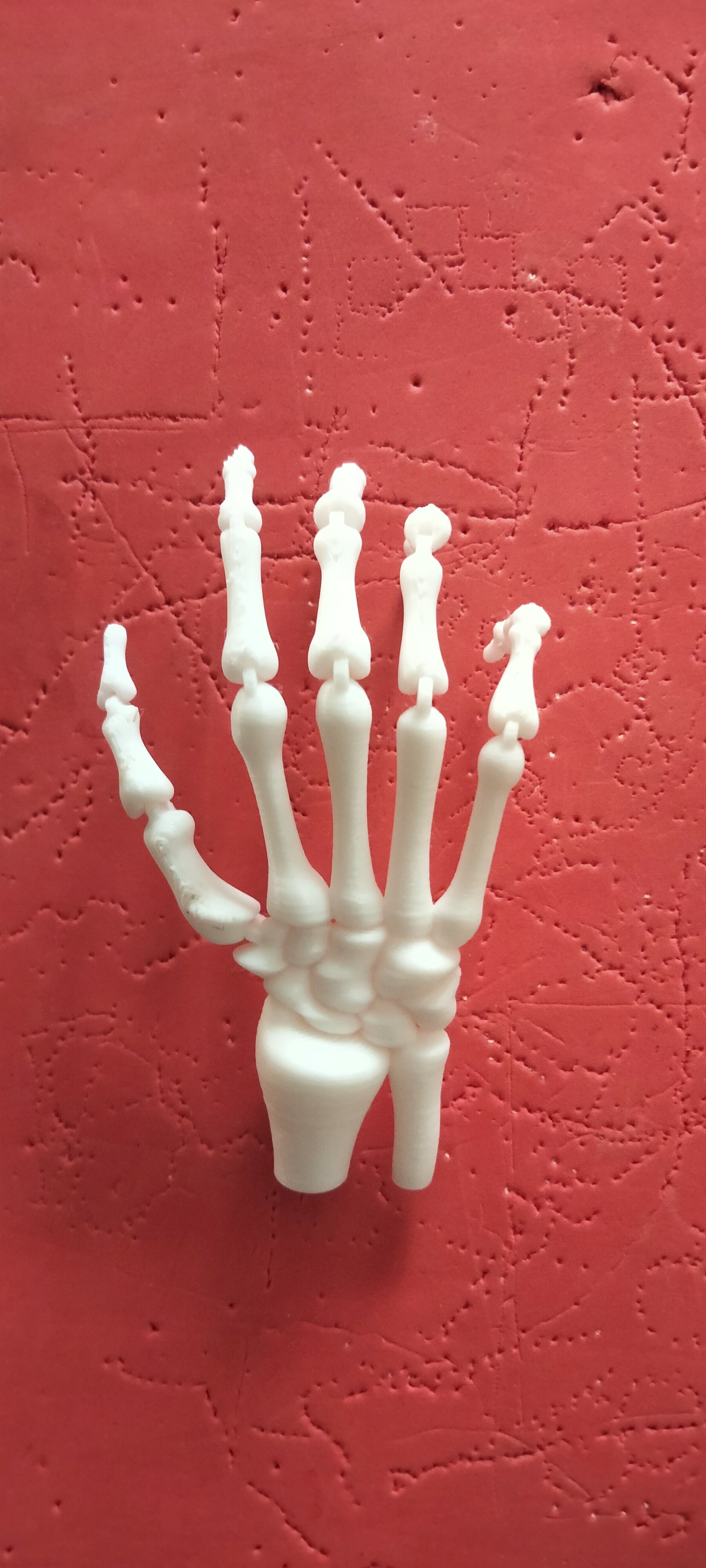 ArtStation - MANO ESQUELETO ARTICULADA | Resources