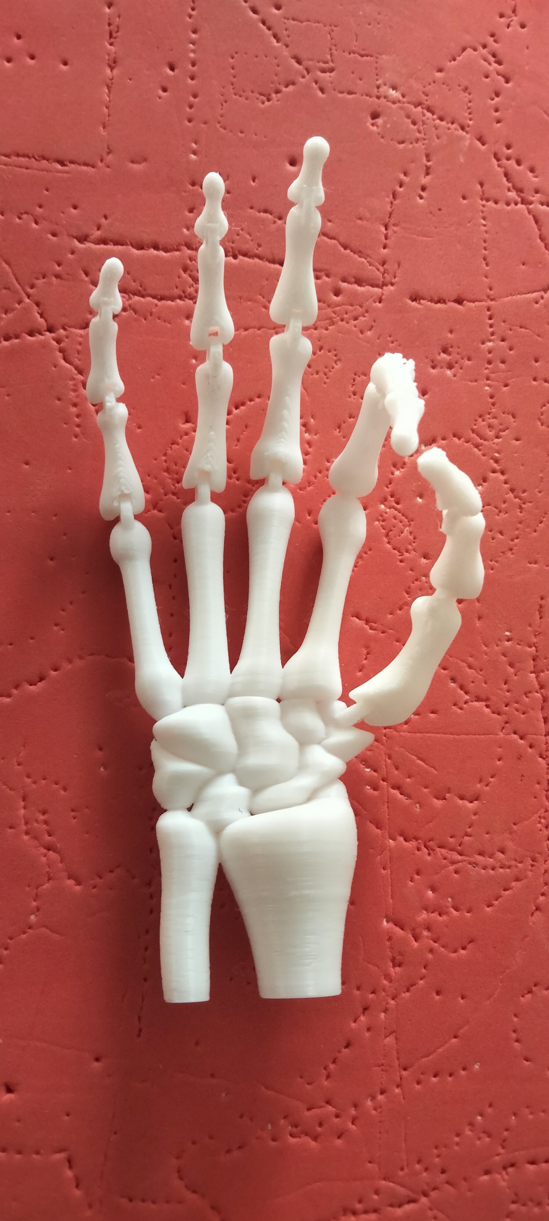 ArtStation - MANO ESQUELETO ARTICULADA | Resources