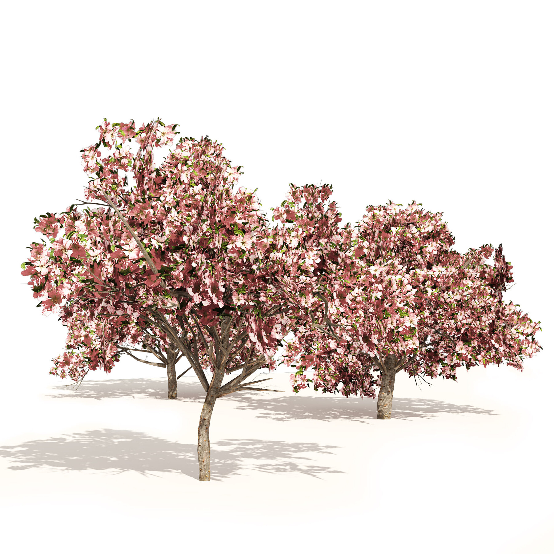 ArtStation - Prunus Peach Trees | Game Assets