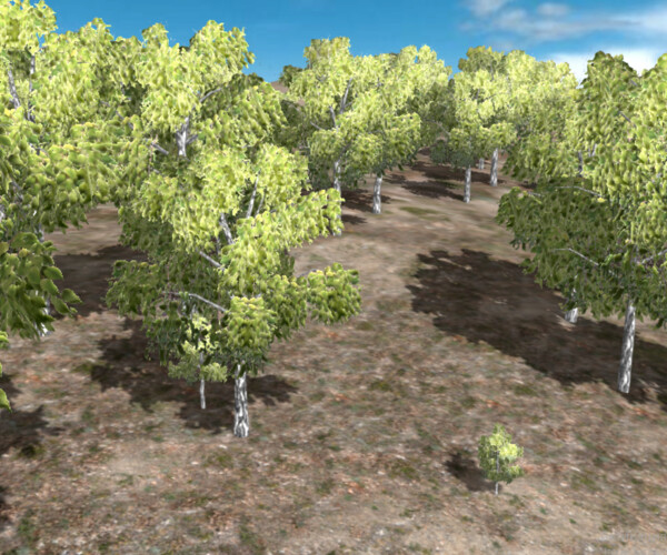 ArtStation - Birch tree PBR low-poly game ready | Game Assets
