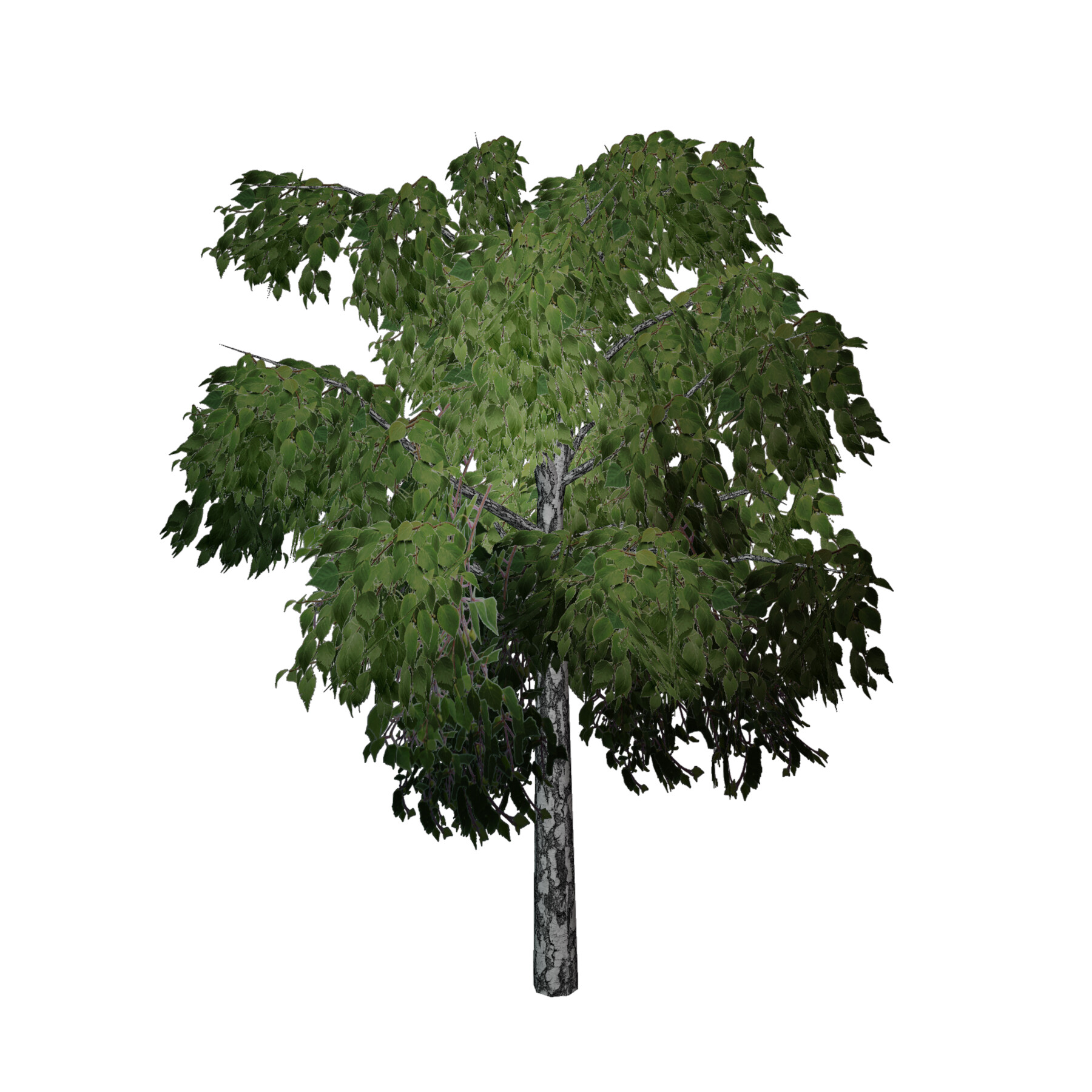 ArtStation - Birch tree PBR low-poly game ready | Game Assets