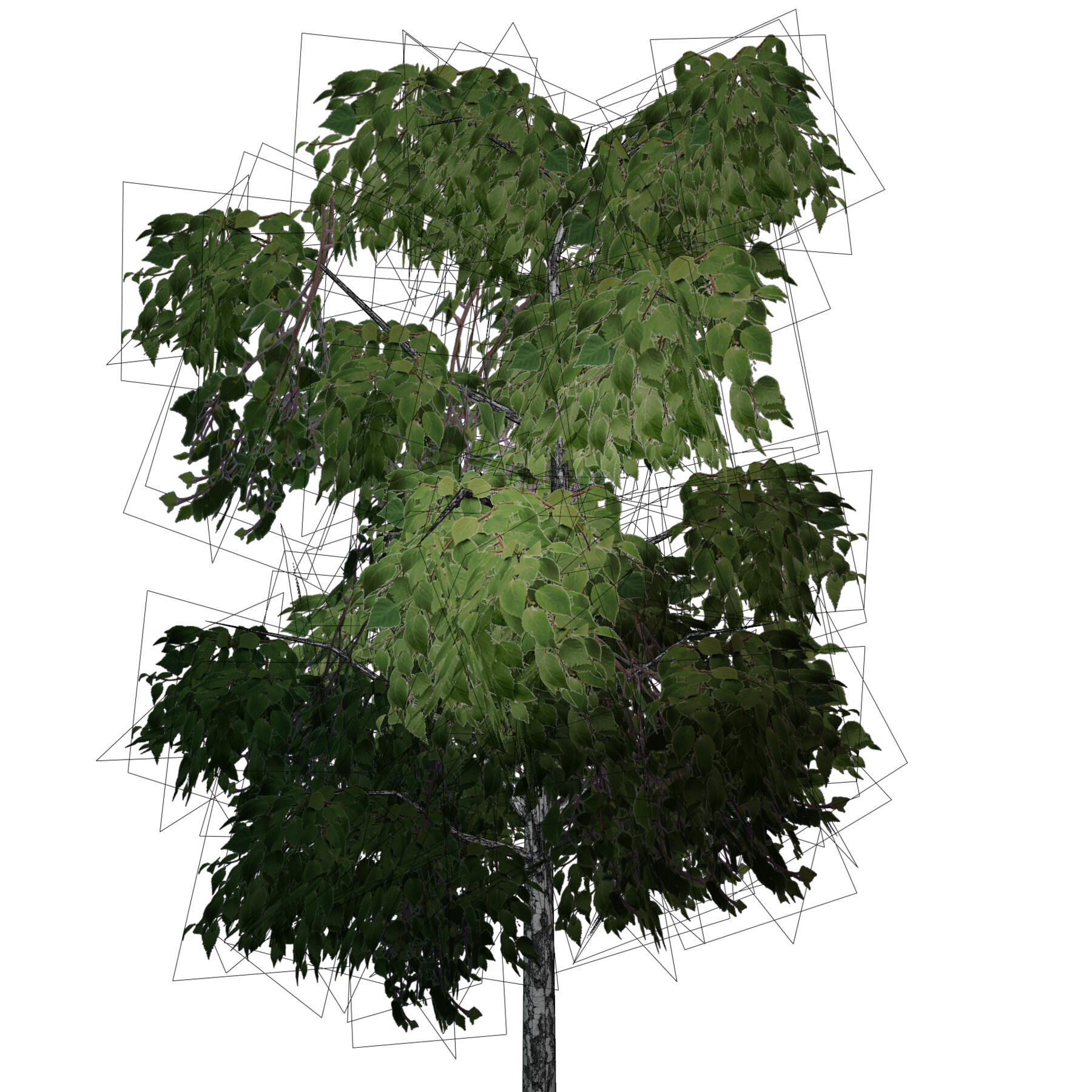 ArtStation - Birch tree PBR low-poly game ready | Game Assets