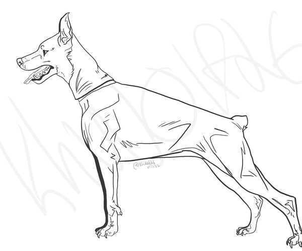 ArtStation - P2U CROPPED/DOCKED DOBERMANN BASE | Artworks