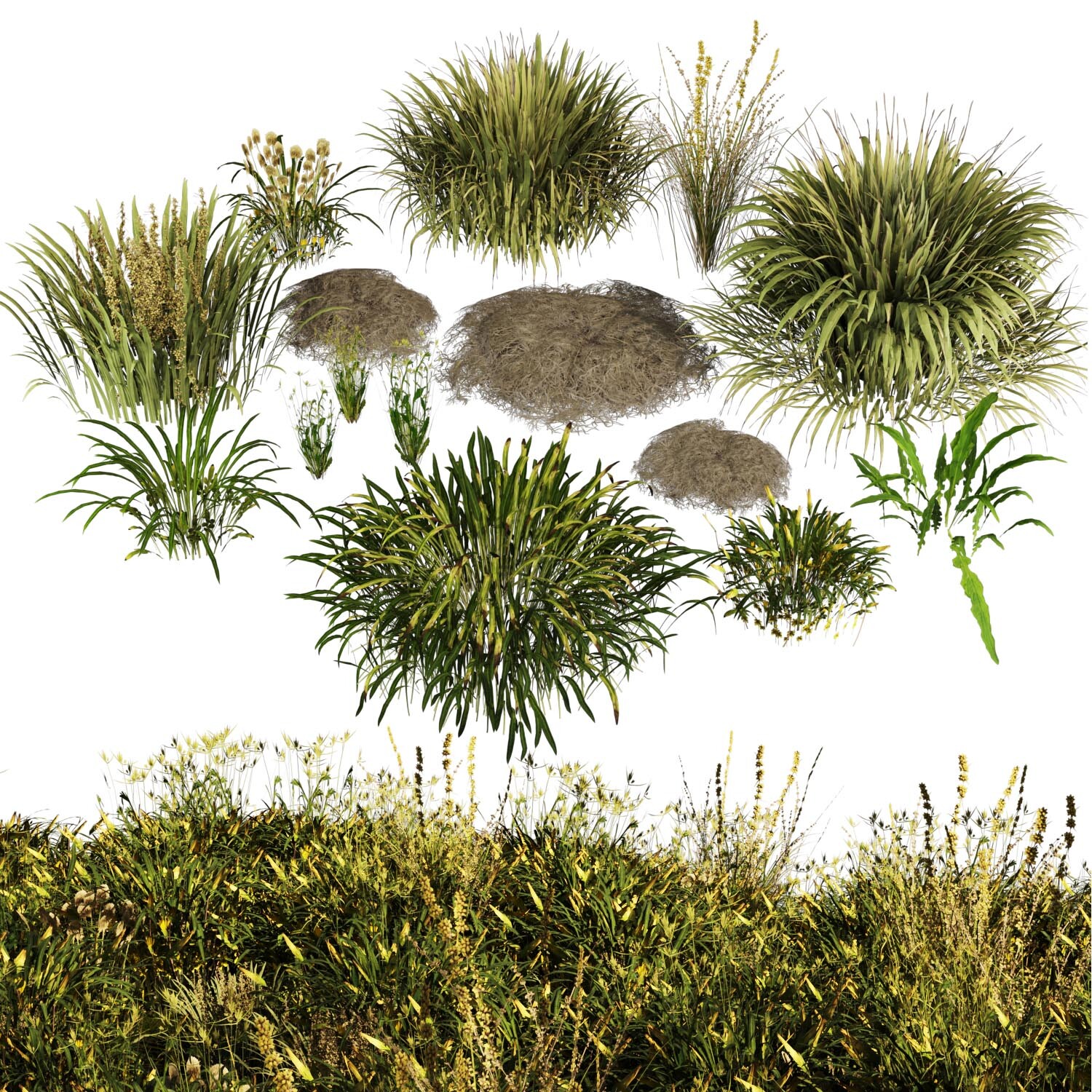 ArtStation - Garden Pack (Nature_Grass with Bushes ) vol 03 | Game Assets