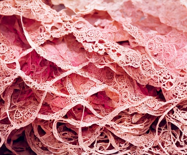 ArtStation - Pretty in Pink Lace | Artworks