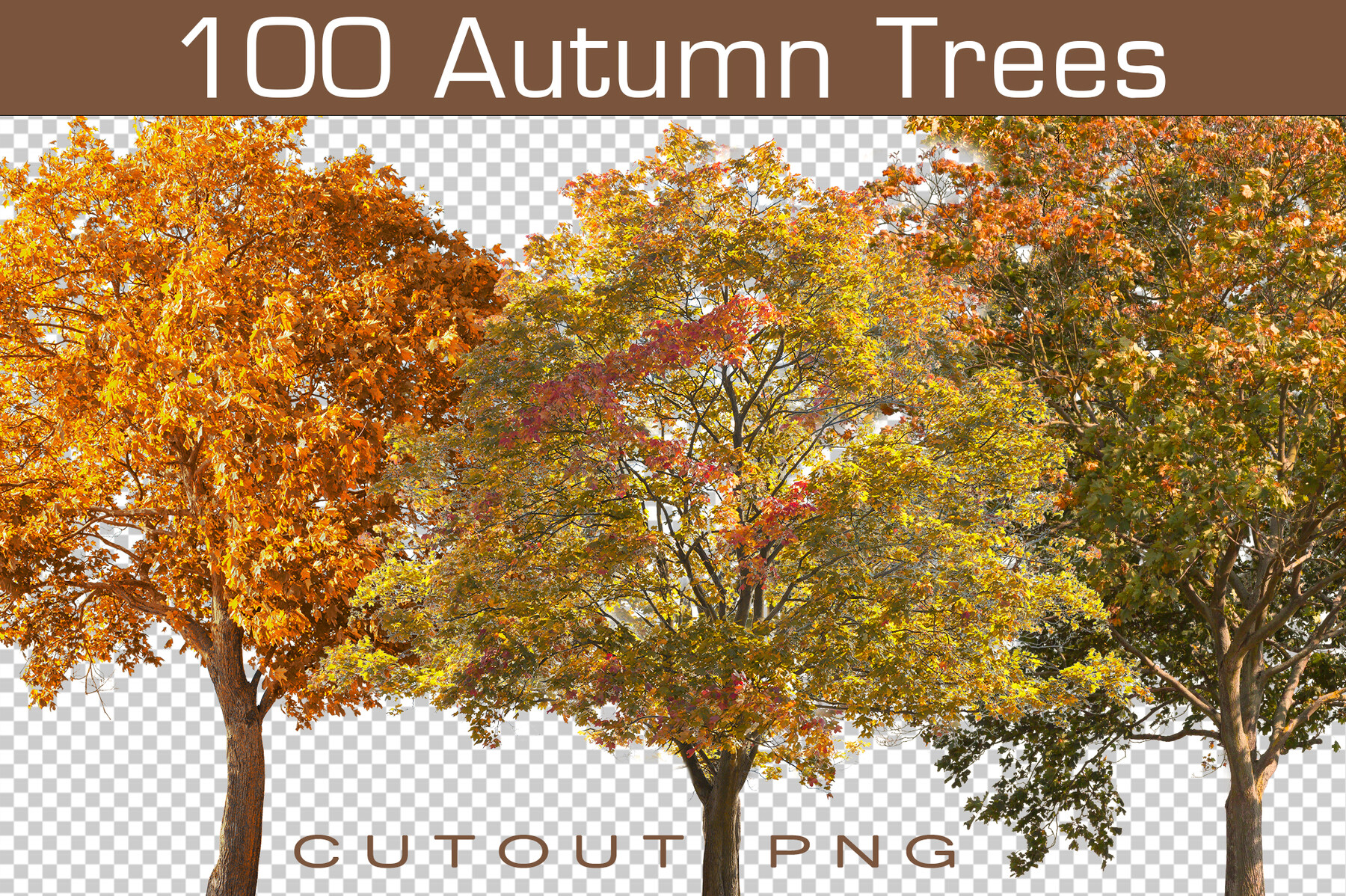 ArtStation - 100 Autumn trees isolated PNG transparent, Digital tree ...