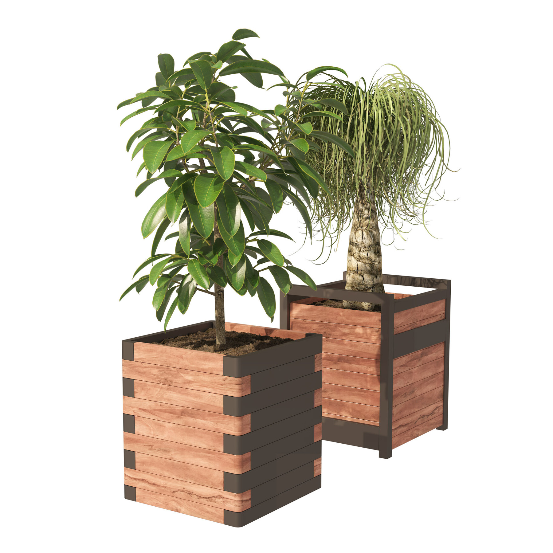 ArtStation - Rubber fig and ponytail palm planters | Resources