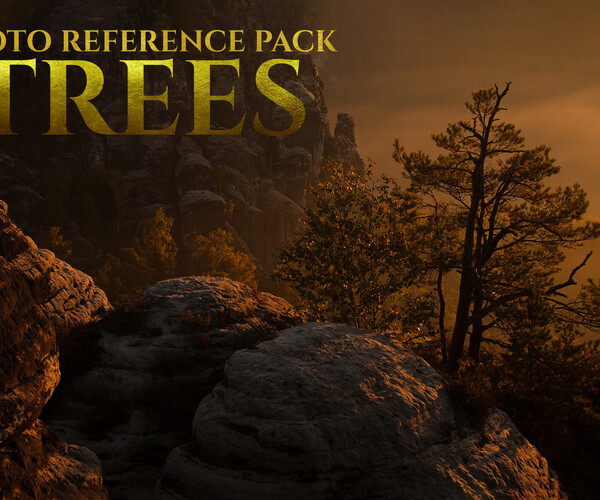ArtStation - Trees- Photo Reference Pack- 427 JPEGs noAI | Resources