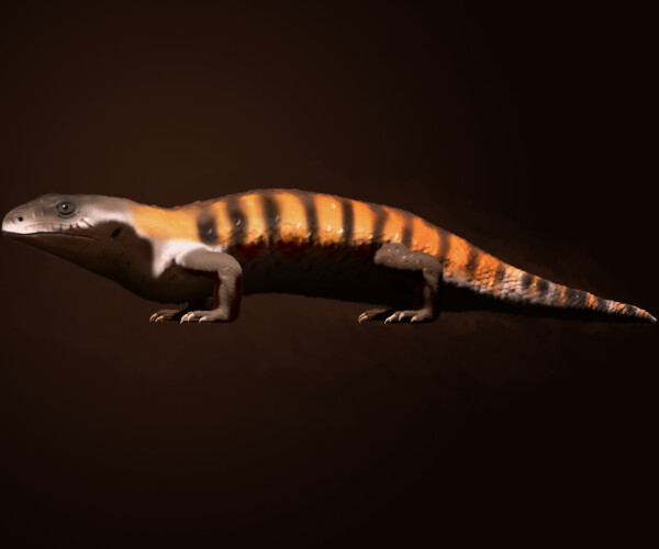 ArtStation - 3D Model Blue Tongued Skink | Resources