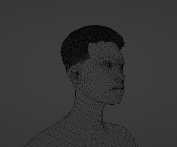 ArtStation - High Top Fade Hair | Game Assets