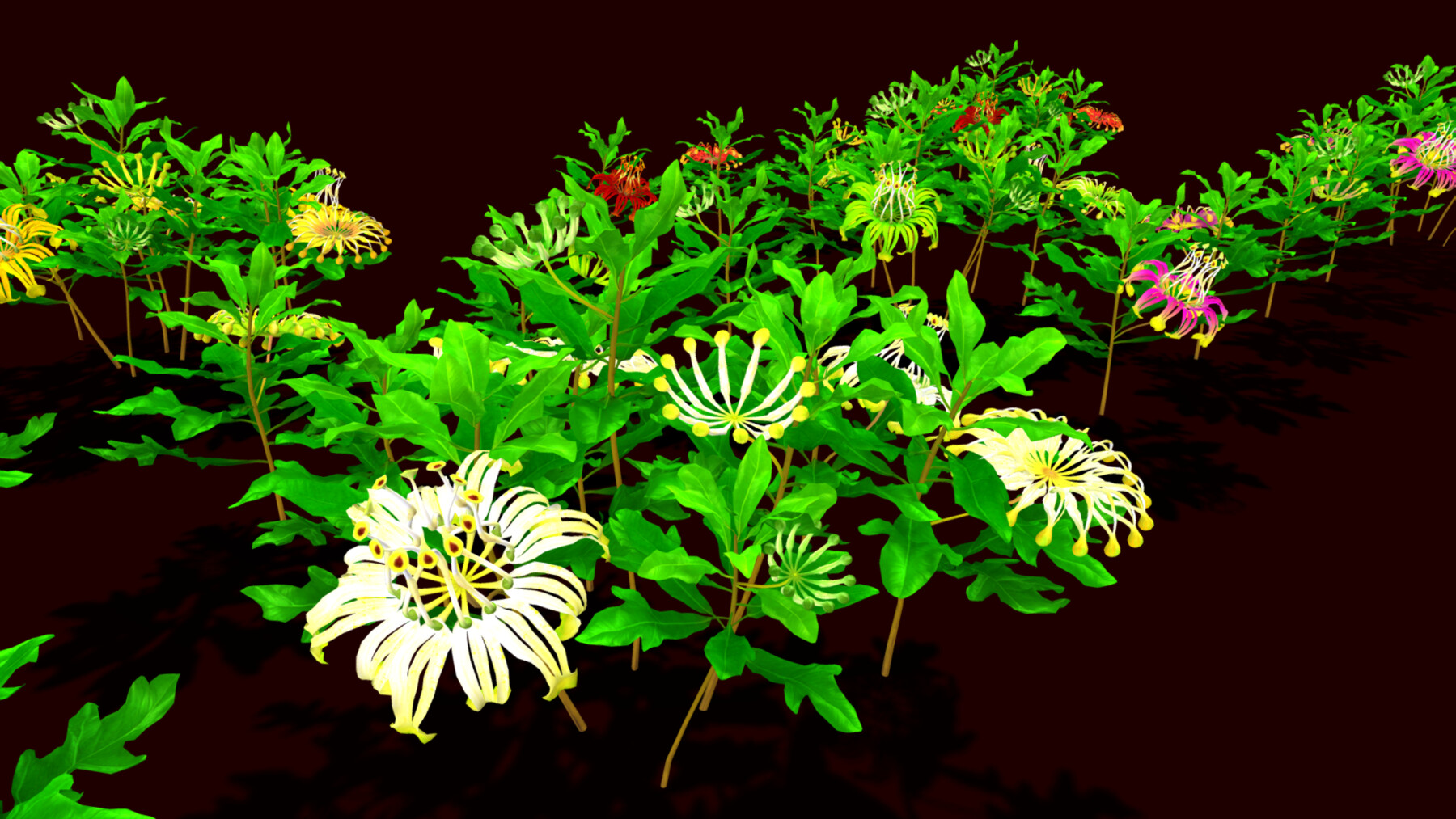 ArtStation - Flower Firewheel Tree | Game Assets